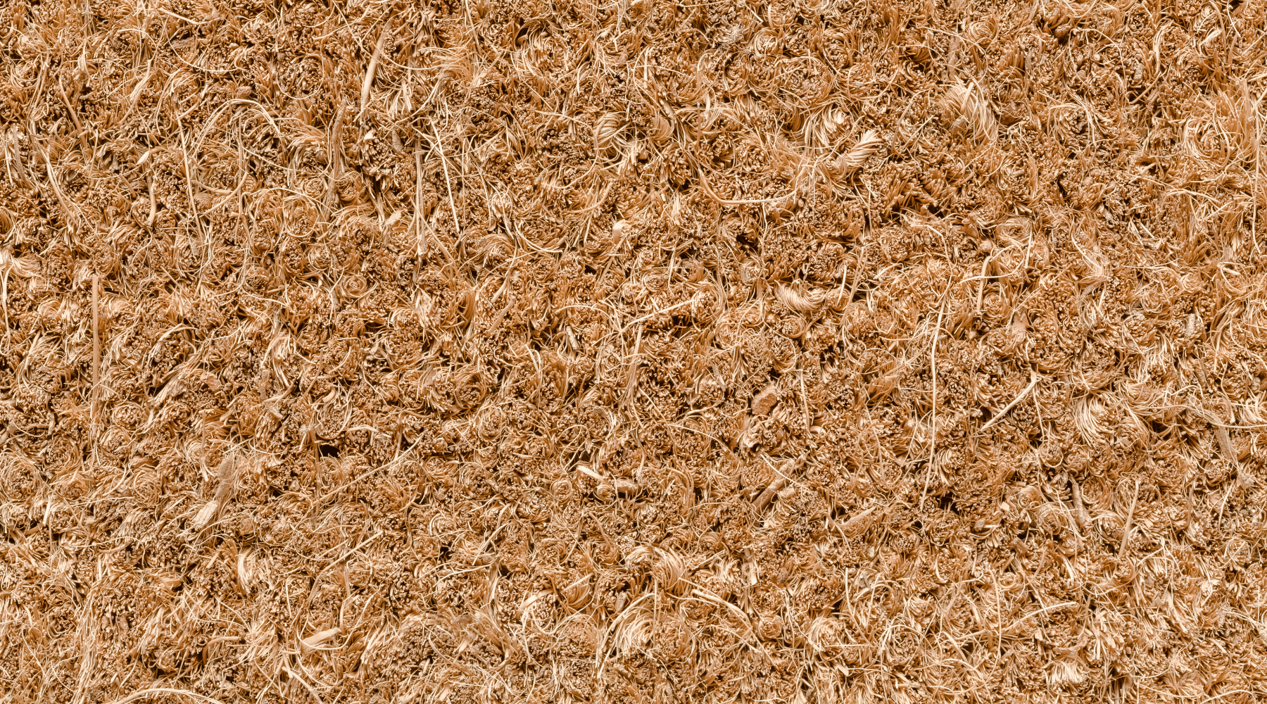 What is Coir? – Homebound Society